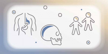 NSCI 301 Life Science (001) FA1 2025 | LAPU Courses